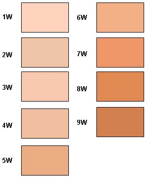 cosmetics at www.doreenfashions.com